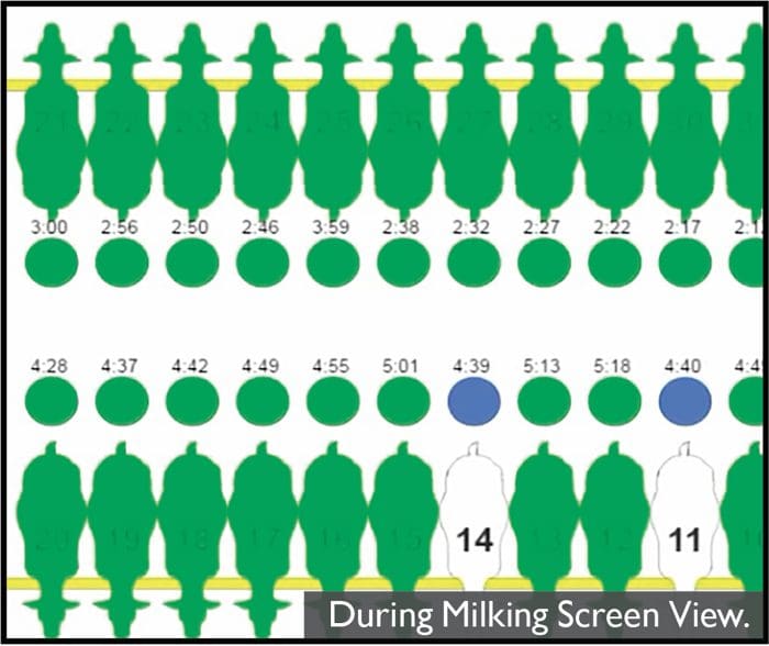 Understanding Milk Routines and Improving Performance - American Dairymen