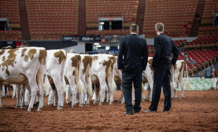 World Dairy Expo Cattle Show Entries Now Open - American Dairymen